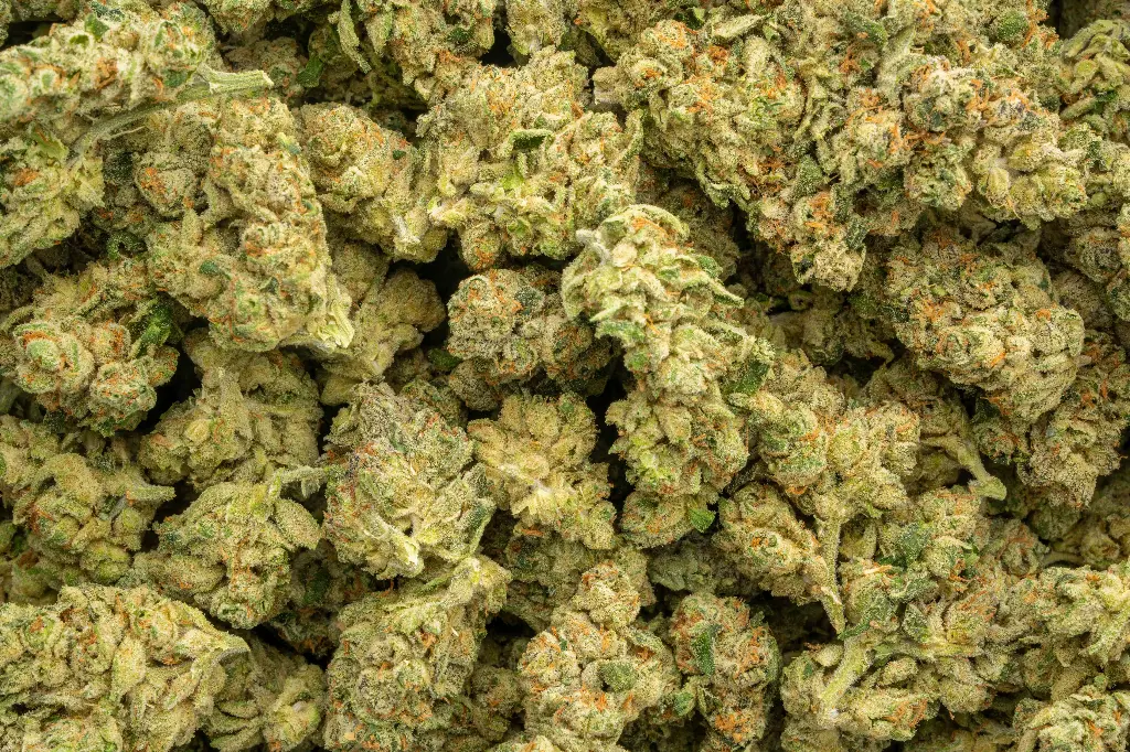 LA Pop Rocks Indoor | Hemp Supply Prime